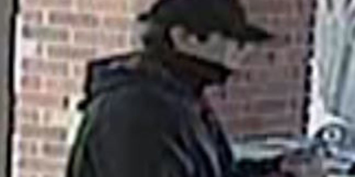 Cpd Searching For Cvs Armed Robbery Suspect